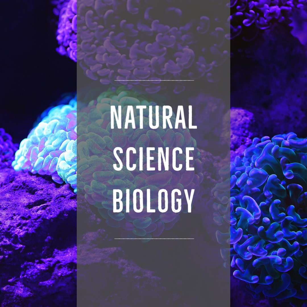 Natural Science: Biology | The University Akron, Ohio