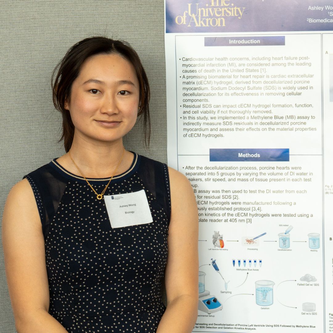 3rd Annual BCAS Celebration of Undergraduate Research and Creativity ...