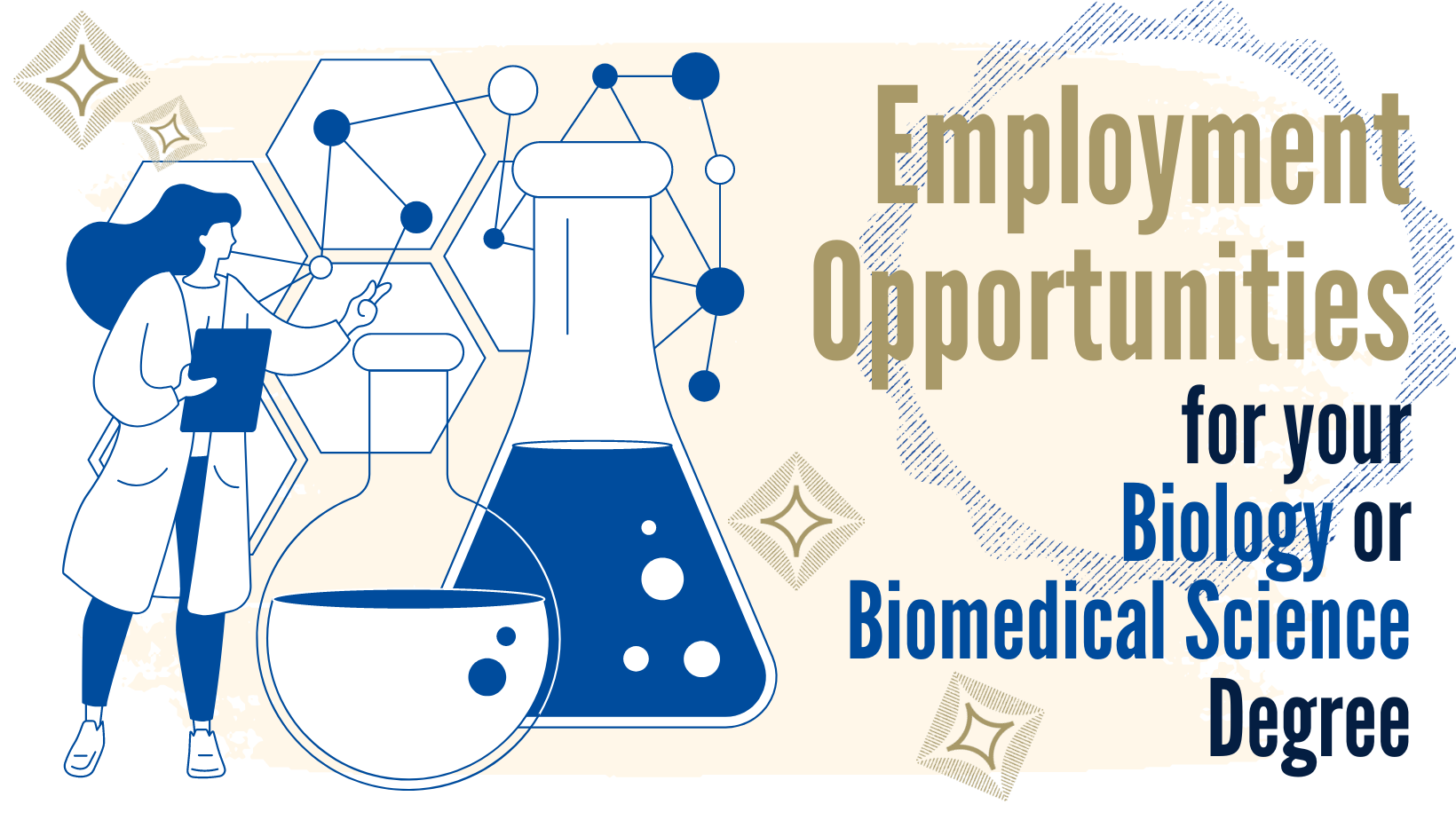 Undergraduate Biology Employment Opportunities : The University of ...