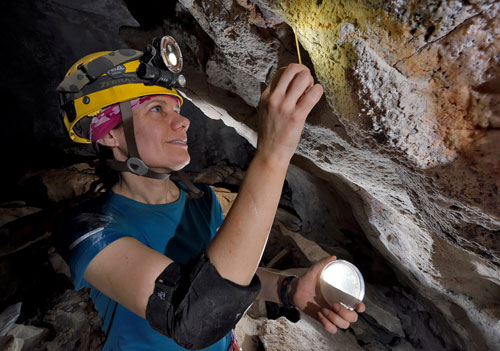 Department of Biology : The University of Akron, Ohio