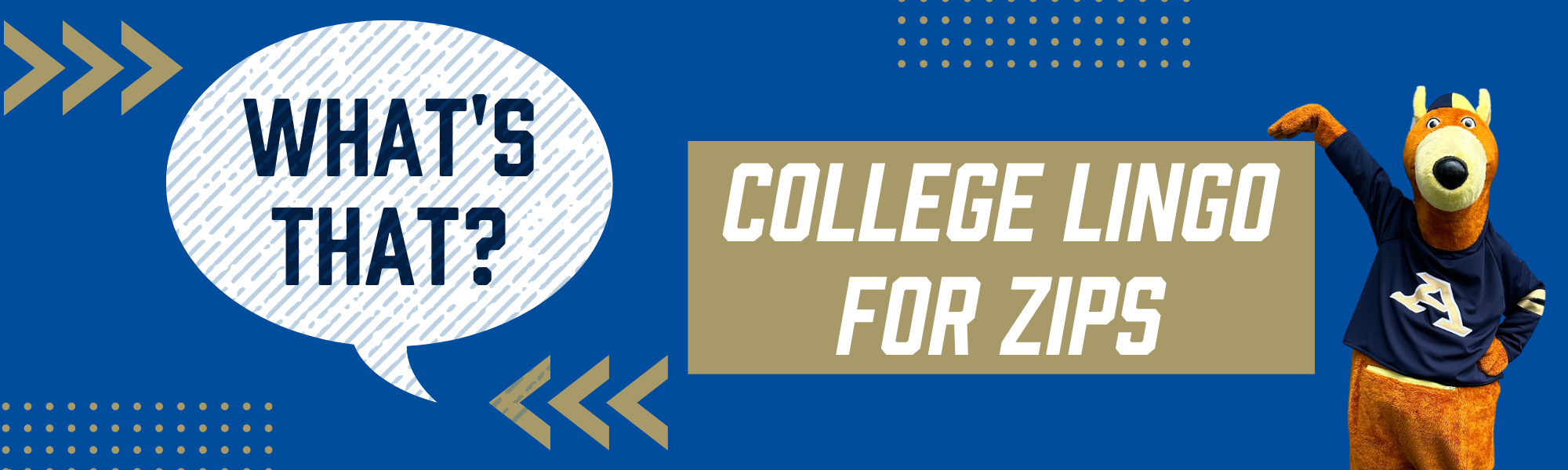 Demystifying College Lingo for Incoming Freshmen | The University Akron ...