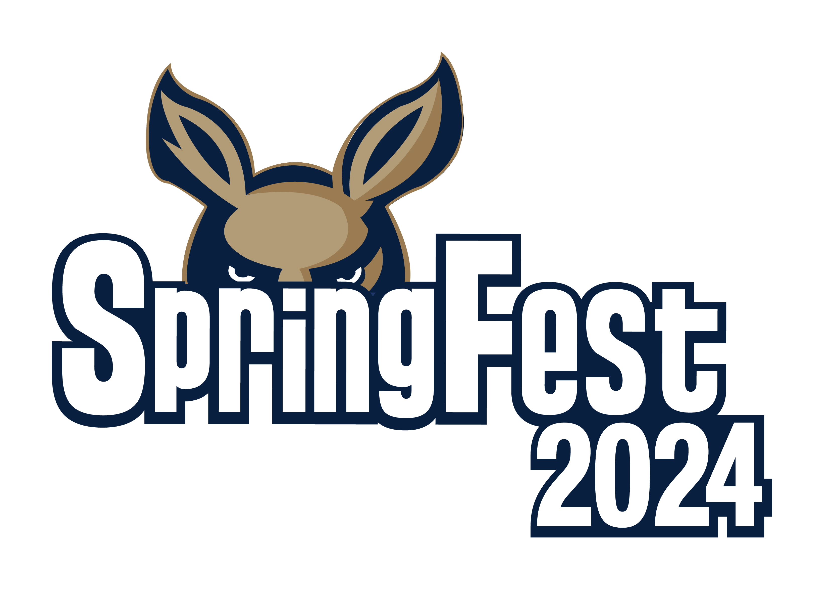 SpringFest : The University of Akron, Ohio